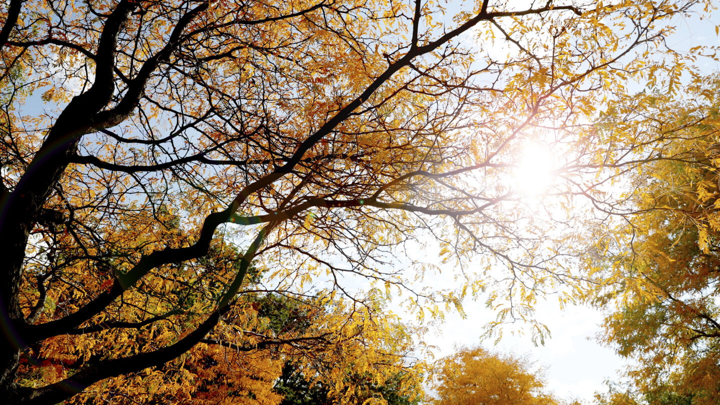 Contact Us - Hilbert College