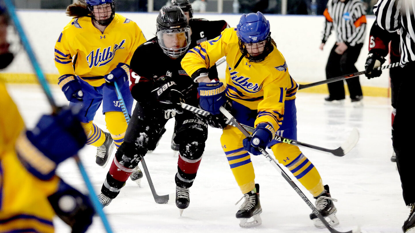 Sports & Athletics - Hilbert College