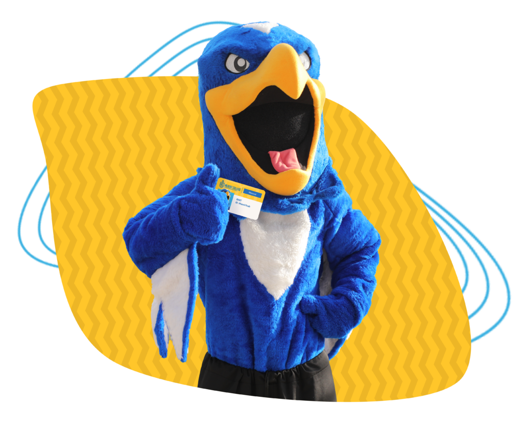 ID Cards - Hilbert College